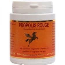 La plus puissante des propolis est rouge - Réponses Bio